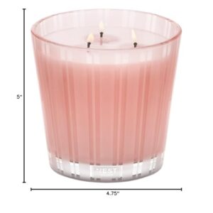 NEST New York Himalayan Salt & Rosewater Scented 3-Wick Candle