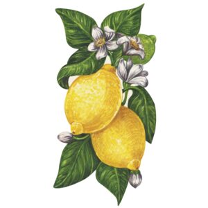 fruit seating cards for table setting - lemon dinner name place cards set of 12