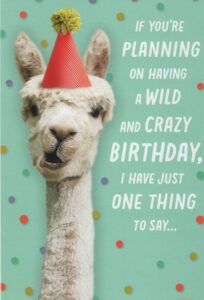 llama funny wild and crazy birthday card made in usa