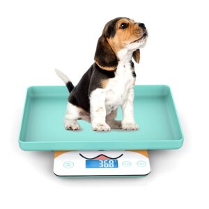 pet scale for newborn puppy and kitten, pet scale with detachable tray for dog whelping nursing, weigh pets baby in grams, 33lbs (±1 gram) (blue)