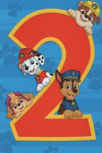 expressions by hallmark happy 2nd birthday card from paw patrol crew-chase, marshall, rubble, and skye!