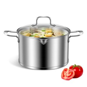 9 quart stainless steel stock pot with glass lid, induction soup cooking pot with pour spout, scale engraved inside, compatible with all heat sources, dishwasher oven safe