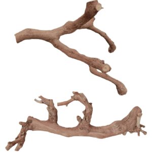 bnosdm 2pcs reptile wood branches decor lizard habitat decoration snake climbing branch accessories terrarium tree trunk ornament for bearded dragon gecko frog chameleon spider