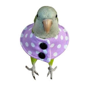 yu~'s north bird collar anti bite elizabethan recovery cone, neck protector for feather plucking, skin-friendly neckwear full body shield parakeet conure cockatiel (purple, s), white, b2