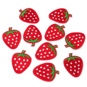 honbay 10pcs cute red strawberry appliques decorative patches embroidered diy sew on/iron on patches for shirts, coats, jackets, backpacks, hats, jeans