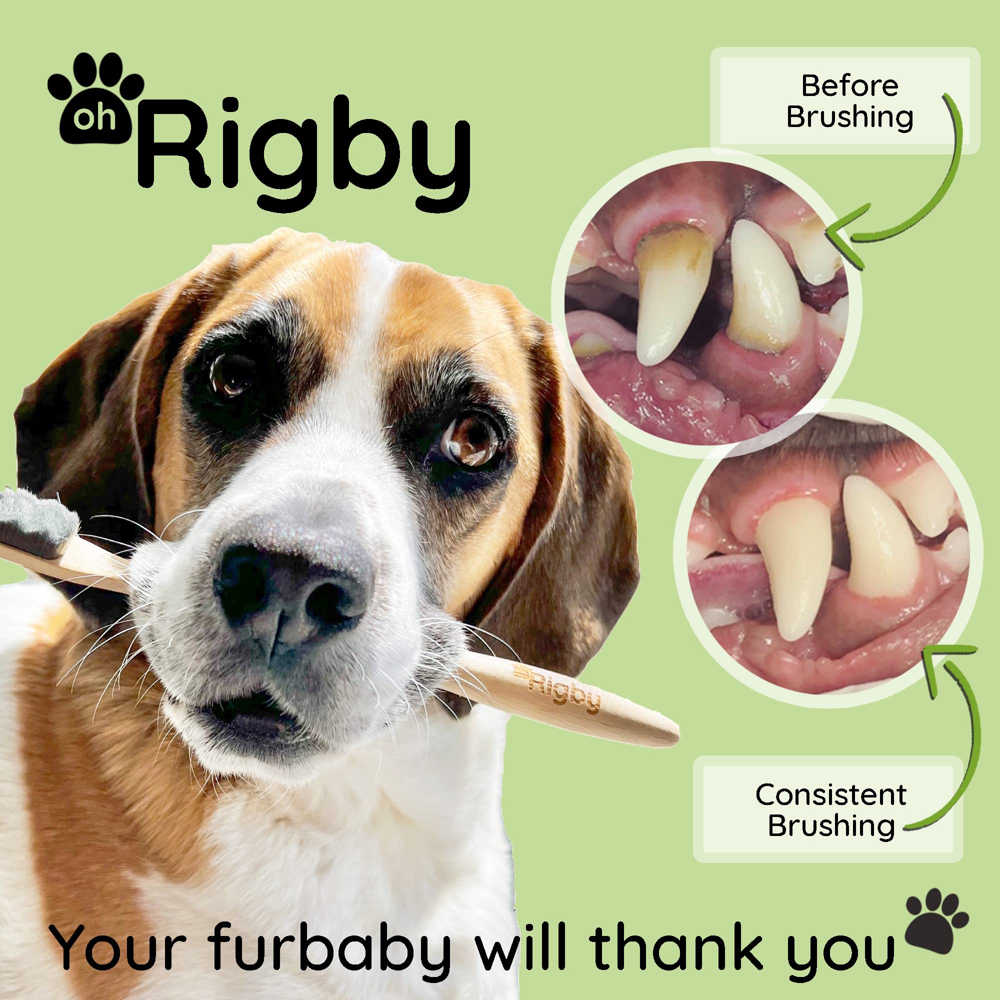 OH RIGBY Dog Toothbrush- 10,000 Ultra-Soft Bristles for Sensitive Pet Teeth & Gums- Natural Bamboo Toothbrush for Comfortable, Gentle Deep Cleaning