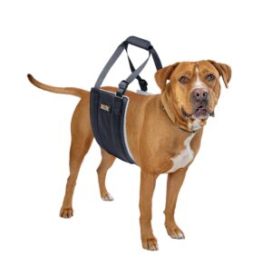 mighty paw dog lift harness - 0-20 lbs dog hip and hind leg support sling - comfortable assistance for elderly or injured dogs with hip and acl brace - back support harness carrying sling - small