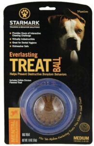 starmark everlasting treat ball-under 40 lbs m