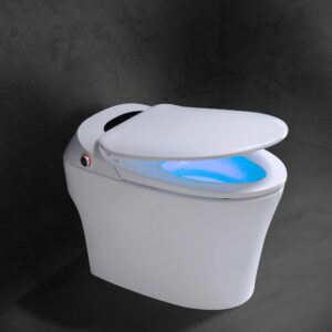 smart bidet toilet elongated one piece modern design, one piece toilet, automatic flushing, heated seat with integrated multi function remote control