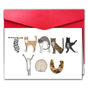 gyysweetus charming cats thank you card, original lovely card for cat lovers, adorable meow gift for best friend thank you so much thanksgiving day card