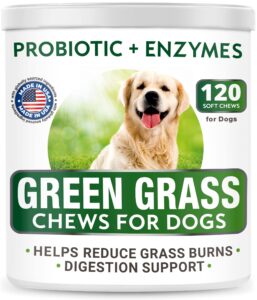 all-natural grass treatment for dog urine bundle - grass restore treats for dogs - pee lawn repair chews w probiotics - dog urine neutralizer solution for grass burn spots - made in usa