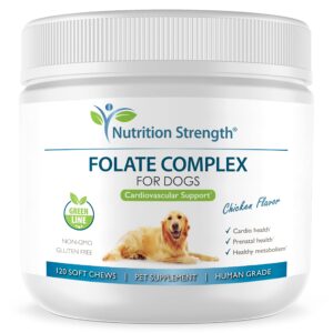 nutrition strength folate for dogs to promote cardiovascular & prenatal health, support dna synthesis & cell maintenance, folic acid for dogs with zinc, biotin, iron & vitamin b12, 120 soft chews