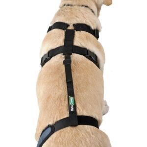 ortocanis - knee brace fastening belt for dog - prevents slippage - improves stability and recovery - size harness + leash: l 69-96 cm