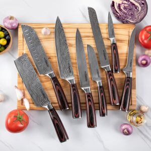 seido knives master chef knife set, 8-piece kitchen knife set, high-carbon stainless steel handmade culinary knives, professional chef knives, kitchen knives