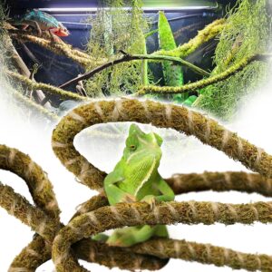 duspro 10ft reptile vines for climbing bendable branch for reptile natural moss rope jungle decor for bearded dragon, chameleon tank accessories, snake gecko lizard terrarium