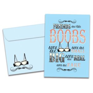 tree-free greetings - humorous birthday cards - artful designs - 1 card + matching envelopes - made in usa - 100% recycled paper - 5"x7" - boob friends (go61265)