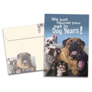 tree-free greetings - humorous birthday cards - artful designs - 1 card + matching envelopes - made in usa - 100% recycled paper - 5"x7" - dog years (go61211)