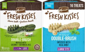 (2 pack) merrick fresh kisses double-brush dental dog treats, infused with coconut & botanical oils and mint breath strips, cleans & freshens breath for large dogs, 16 dental dog treats/pack (large)