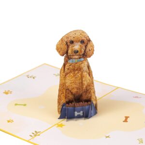 truance pop up card dog, poodle, special greeting card for mom dad daughter on their birthday with blank note inside