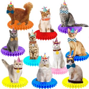 10pcs cat honeycomb centerpieces cat birthday party supplies kitten party decorations lovely cat decoration table for cat theme birthday party baby shower supplies