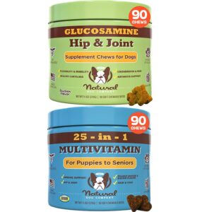 natural dog company dog supplements for seniors & active dogs - multivitamin chews & hip & joint relief - complete nutritional support for joint health, vitamins for dogs, energy, & vitality