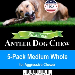 Deluxe Naturals Elk Antler Chews for Dogs | Naturally Shed USA Collected Elk Antlers | All Natural A-Grade Premium Elk Antler Dog Chews | Product of USA, 5-Pack Medium Whole