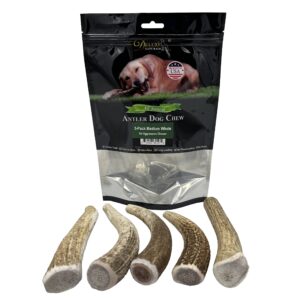 deluxe naturals elk antler chews for dogs | naturally shed usa collected elk antlers | all natural a-grade premium elk antler dog chews | product of usa, 5-pack medium whole