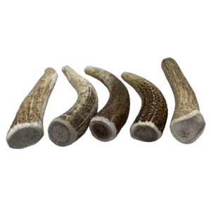 Deluxe Naturals Elk Antler Chews for Dogs | Naturally Shed USA Collected Elk Antlers | All Natural A-Grade Premium Elk Antler Dog Chews | Product of USA, 5-Pack Medium Whole