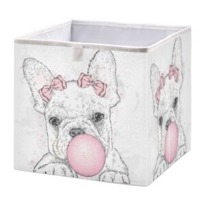 french bulldog with gum storage baskets for shelves foldable collapsible storage box bins with cubes toys closet organizers for pantry clothes storage toys, books, home, office,16 x 11inch