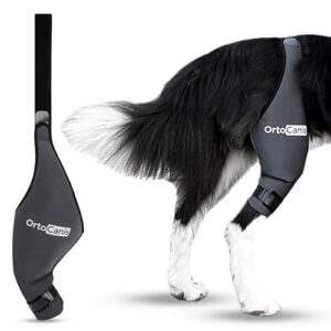 ortocanis dog knee brace for torn acl hind leg, cruciate ligament injuries, patella dislocation or osteoarthritis - dog acl knee brace - dog braces for back leg for support (xxx-small, left leg)