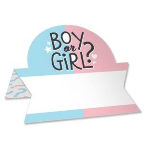 big dot of happiness baby gender reveal - team boy or girl party tent buffet card - table setting name place cards - set of 24