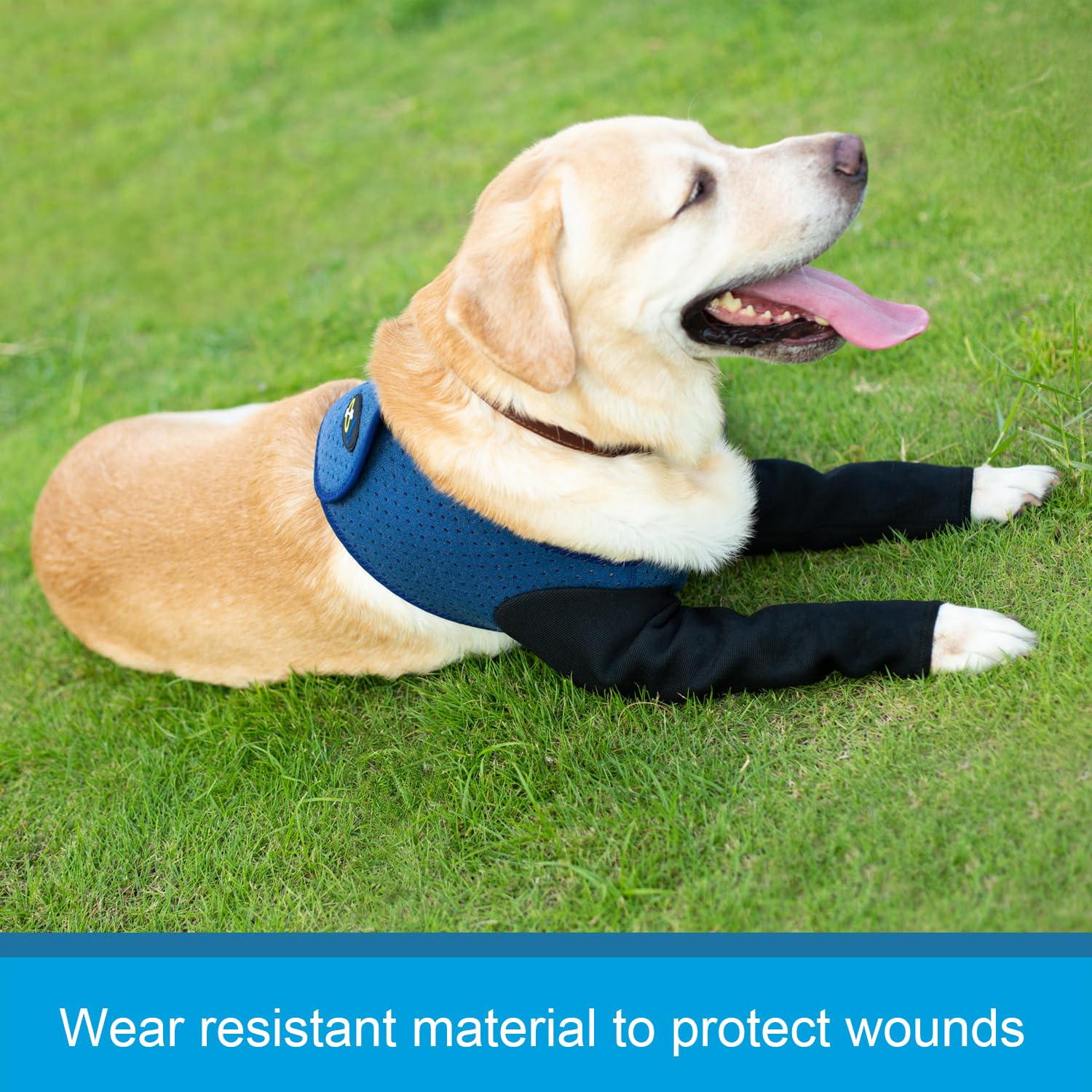 Coodeo Dog Recovery Sleeves, Cone Collar Alternative, Abrasion Resistant Dog Recovery Suit, Washable 2.5mm Thick and Waterproof, Pet Wounds Prevent Licking, Bite, Keep Dry (2XL, Blue)