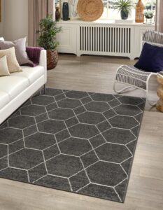 rugs.com lattice frieze collection rug – 4' x 6' dark gray medium rug perfect for living rooms, large dining rooms, open floorplans