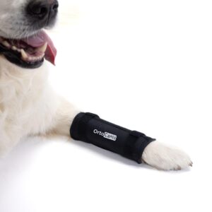 ortocanis - dog carpal support brace - carpal instability or osteoarthritis - stabilizes and reduces pain - with two immobilization splints - made of neoprene - size xxl 15-19 cm