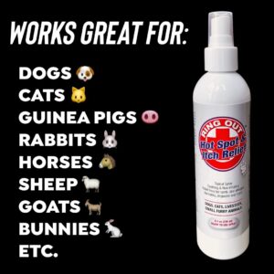 Ring Out - Hot Spot and Itch Relief for Dogs and Cats. Spray for Dog Hotspot, Rash, Dry Skin, Infection, Paws, Itching, Irritation, Allergy, Wound Care (8 oz Spray Bottle)