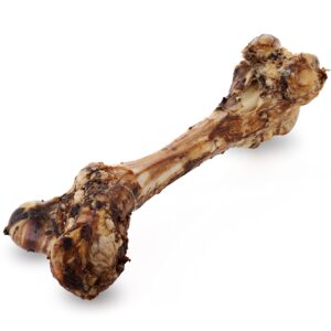 raw paws monster beef femur bones for dogs, 14-inch, 1-ct - packed in the usa - smoked dog bones for large dogs, natural dog bones for aggressive chewers, giant dog bone, huge dog bone