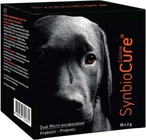 synbiocure i probiotics & prebiotics for dogs i powder dog supplement i digestive health support i 200 billion bacteria per sachet i 30 sachets*2 g