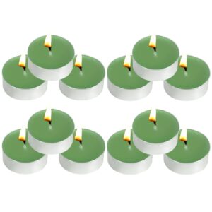 tea lights candles - 12 pack green tealights candle scented green tea small candle for home, holiday, wedding & party,dinner table, halloween christmas and holiday (green tea)