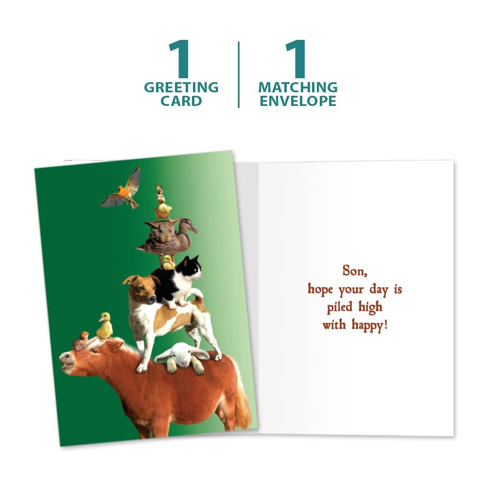 Tree-Free Greetings - Humorous Birthday Cards for Son - Artful Designs - 1 Card + Matching Envelopes - Made in USA - 100% Recycled Paper - 5"x7" - Piled High (GO61470)