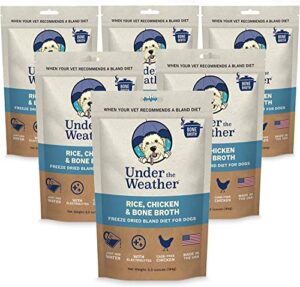 under the weather easy to digest bland diet for sick dogs - always be ready - contains electrolytes - gluten free, all natural, freeze dried 100% human grade meats - chicken, rice & bone broth