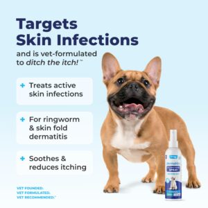 Vetnique Dermabliss Hot Spot Treatment for Dogs - Antiseptic Medicated Chlorhexidine Spray - Vet Recommended for Skin Infections, Hot Spots & Irritation (Hot Spot Spray, 8oz)