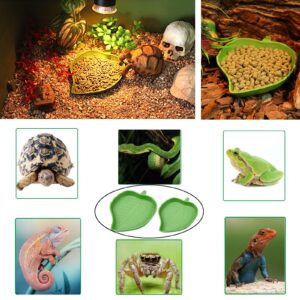 3pcs Tortoise Food Dish with Ramp and Basking Platform Leaf Tortoise Water Food Bowls Reptile Water Dish Turtle Reptile Pool for Amphibians Gray