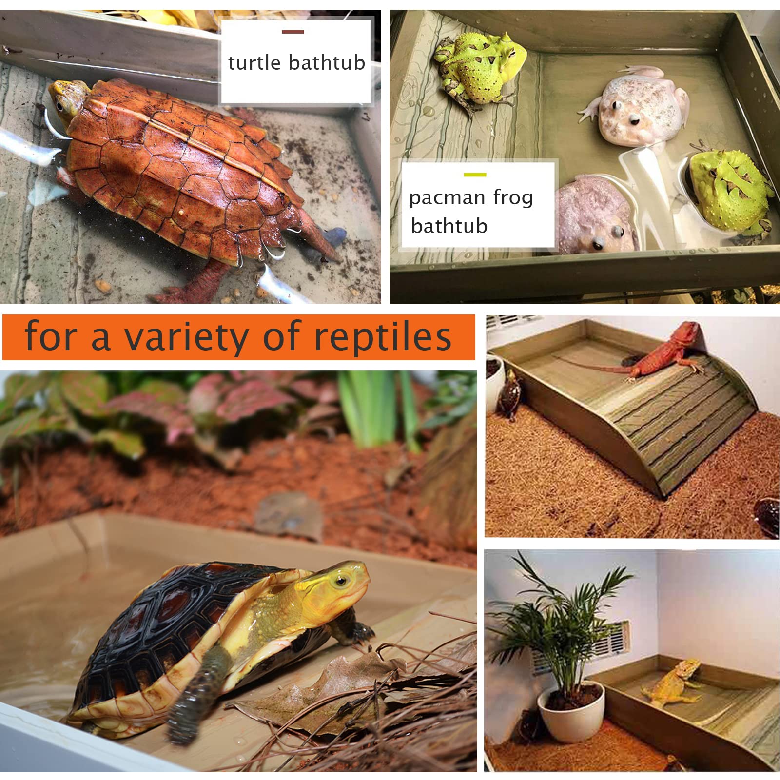 3pcs Tortoise Food Dish with Ramp and Basking Platform Leaf Tortoise Water Food Bowls Reptile Water Dish Turtle Reptile Pool for Amphibians Gray