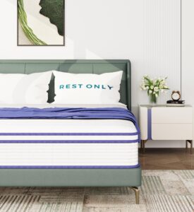 queen mattress, rest only 10 inch mattress queen in a box, memory foam & individually wrapped coils pocket spring for motion isolation and pressure relief, medium firm