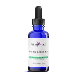 pet essences feline leukemia solution for cats