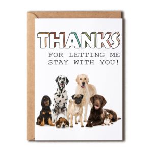 thanks for letting me stay with you - dog sitter gift - card from dog - dog thank you card - gift for pet sitter - dog lover gift card, 5 x 7 inches