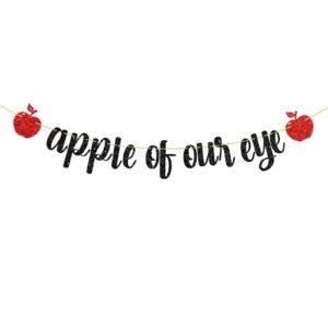 webenison apple of our eye banner/fruit apple theme 1st birthday banner/baby shower/wedding/boys girls birthday party decoration supplies black glitter