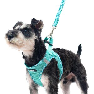 pupteck dog harness and leash set for small medium dogs no pull step-in soft mesh puppy cat vest harnesses reflective at night, green s