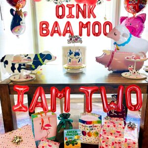 JeVenis oink baa moo i am two balloons moo moo i am two balloons farm 2nd birthday decoration barnyard 2nd birthday decoration holy cow i am two decoration