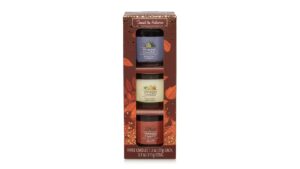 toast to autumn 3 pack fall mini jar candles